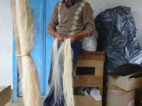 HISTORIA DEL FIQUE | MANOS CON AMOR Y TRADICIÓN