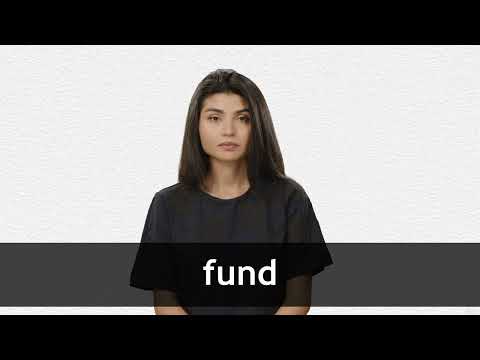 FUND 释义 | 柯林斯英语词典