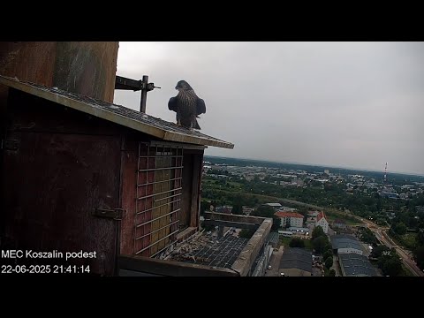 Koszalin 22 06 2025 5 ~ Westa na moment