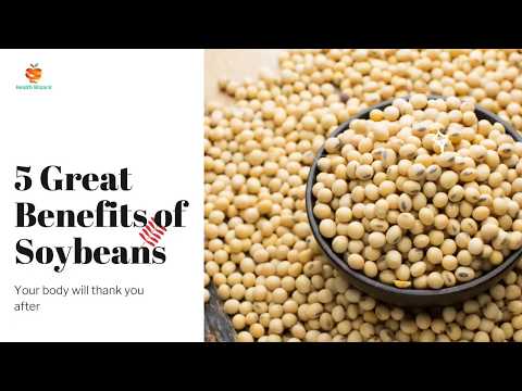 5 Benefits of Soy Beans - Health Wizard