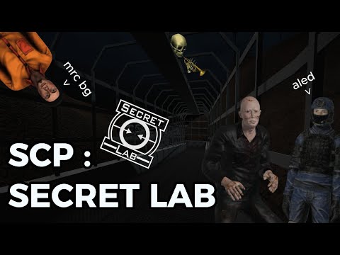 Steam Community :: SCP: Secret Laboratory