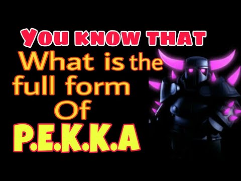 What is the full form of P .E. K. K.A ll what does the pekka stand for ll