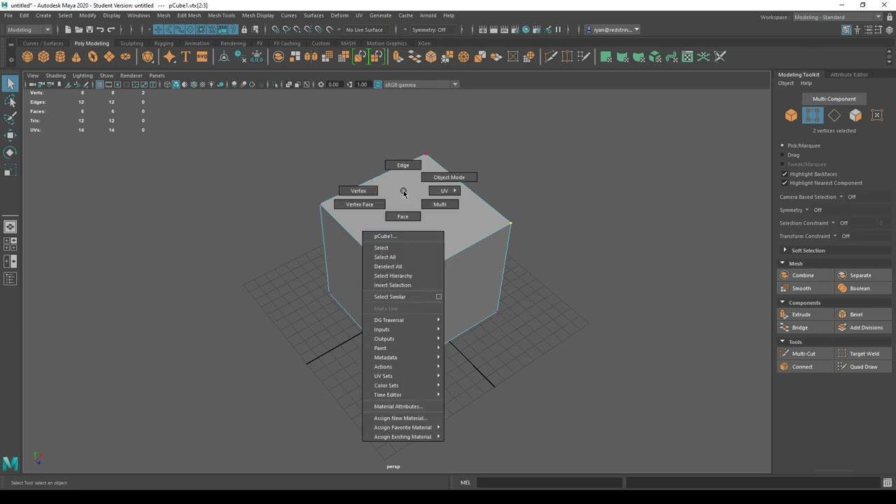 What is Polygon Modeling | Autodesk Maya Essentials (12/32)
