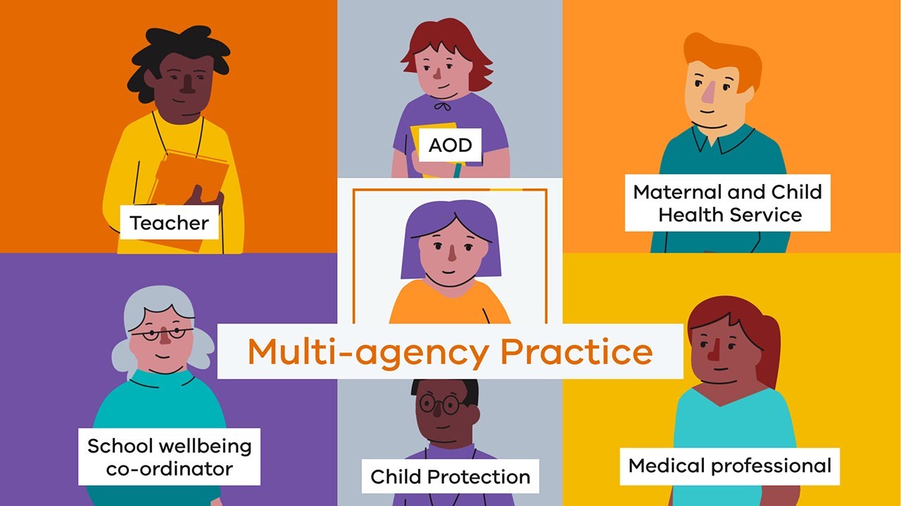 Multi-Agency Practice - MARAM Animation Series