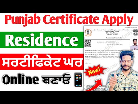 Punjab Residence Certificate Apply Kaise Kare 2025 | Domesile certificate apply Punjab 2025