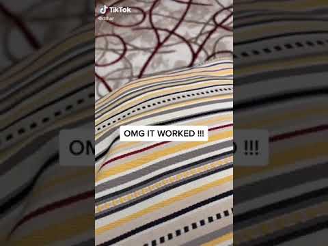 Cat Calling Sounds