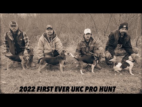 2022 FIRST EVER UKC Pro Hunt | South Harrison Beagle Club | West Milford, West Virginia