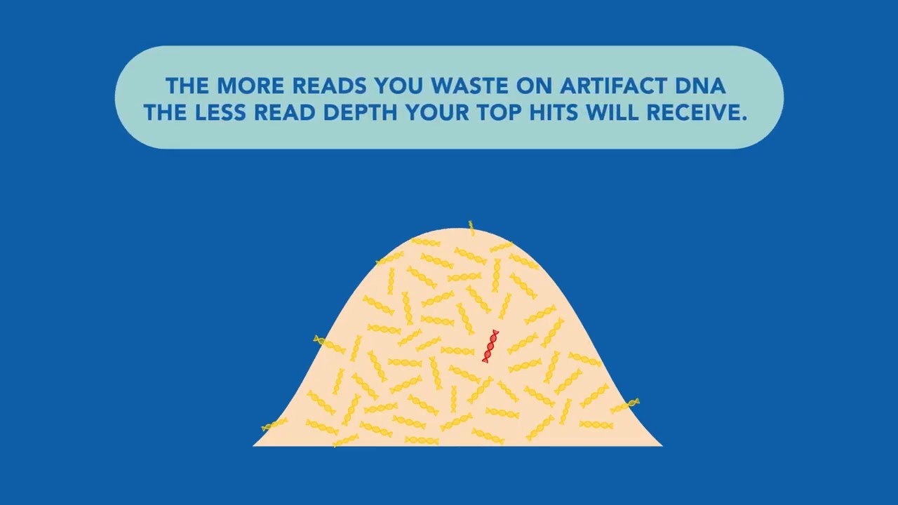 Functional Genomics Screening Tips and Tricks