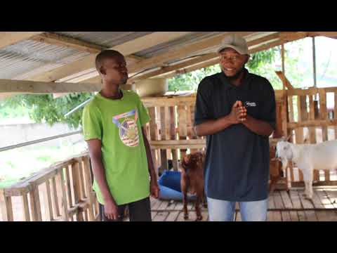 Boer goats in Ghana: His farm is Worth millions(part 1)