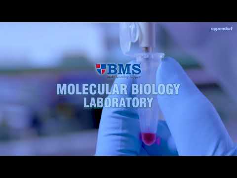 Molecular Biology Laboratory | BMS