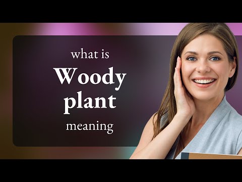 Woody plant — WOODY PLANT definition