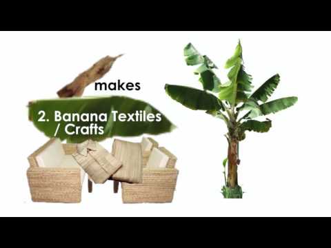 prof. bwisa on banana products