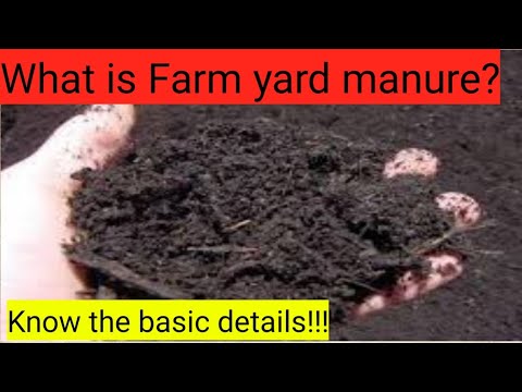 What is FYM?know the basic details about farm yard manure