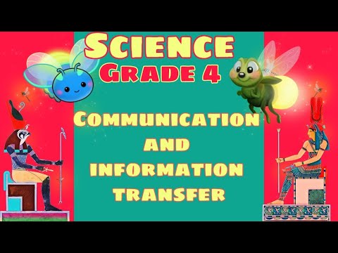 شرح درس Communication and information transfer - Science - الصف الرابع ...
