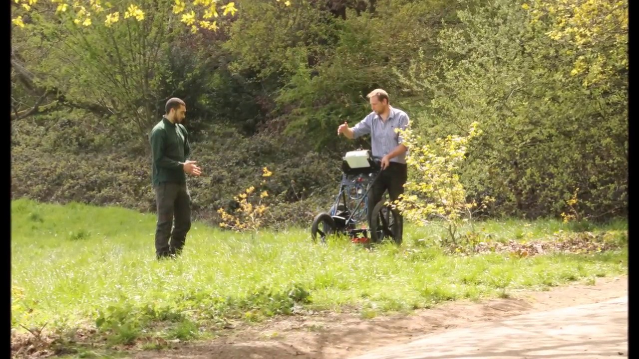 Se the Apprentice Arborist