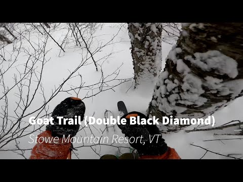 Skiing Goat Trail (Double Black Diamond), Stowe, VT 2/26/23