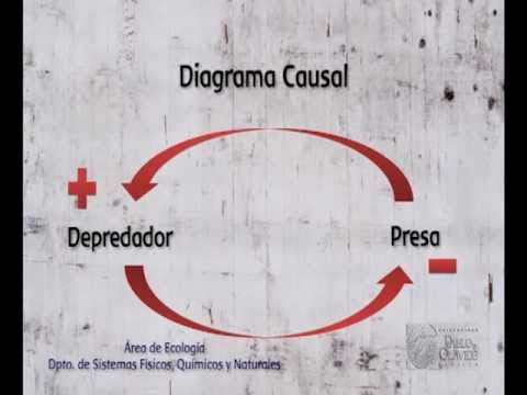 Diagrama Causal | MODELO UGUAJIRA