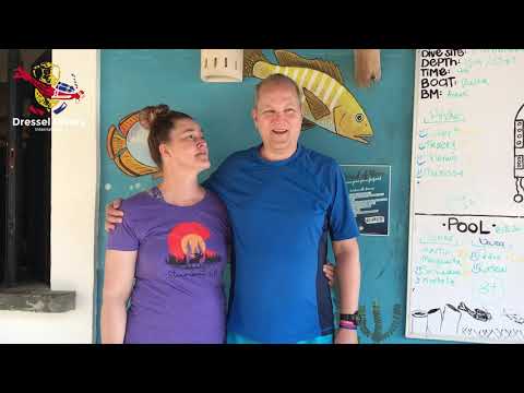 Guests Recommend: Dressel Divers Playa Paraiso