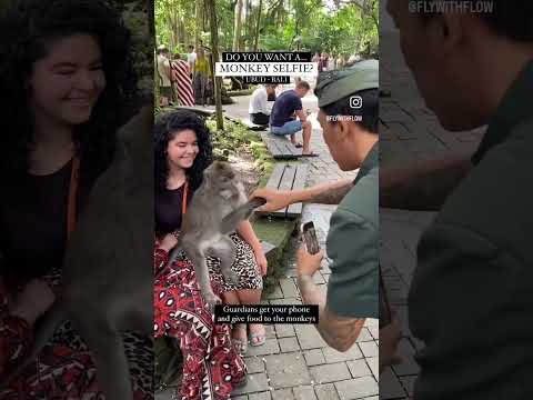 โ
Do you want a Monkey Selfie?๐๐ธ๐Ubud Monkey Forest, Bali, Indonesia๐ฎ๐ฉ