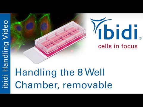 How to Use the ibidi 8 Well Chamber, removable