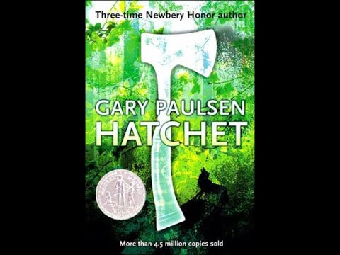 Hatchet - Chapter 11
