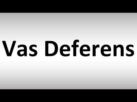 How to Pronounce Vas Deferens