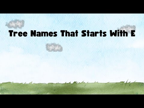 Tree Names That Starts With E