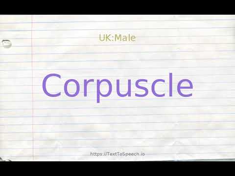 How to pronounce corpuscle