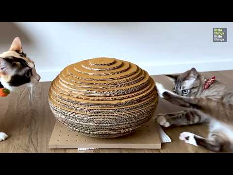DIY Cat Scratcher