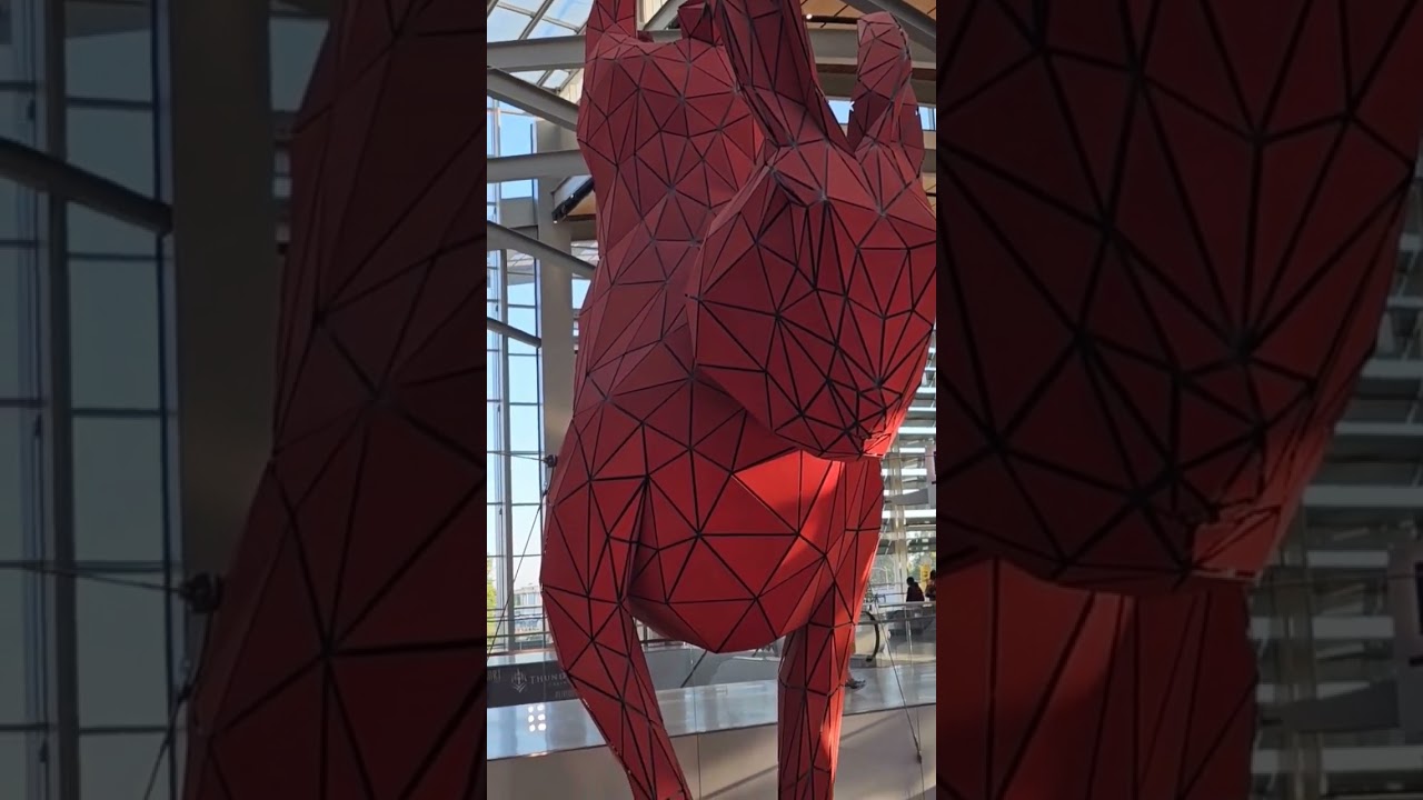 Sacramento Intl' Airport #shorts #viral #sacramento #california #airport