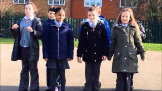 3 Best Primary School in Basildon, UK - Expert Recommendations