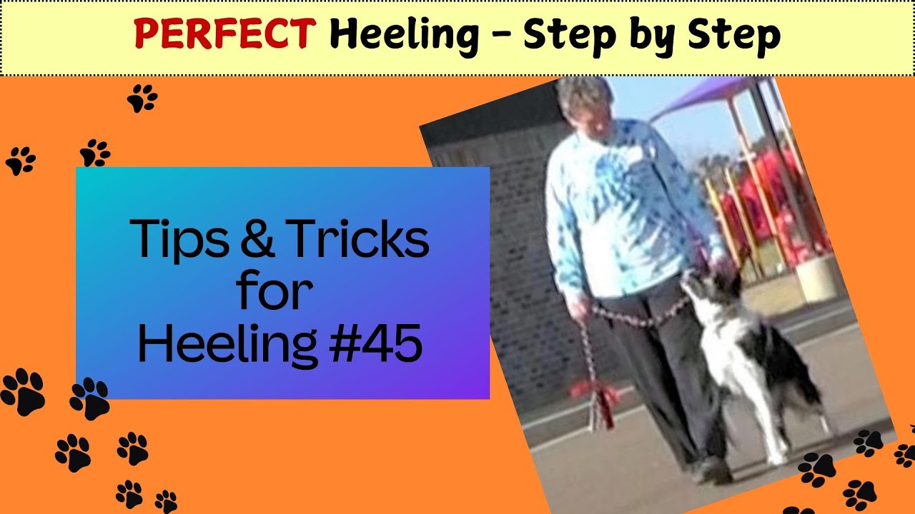 Heeling Tips & Tricks #45 Sequencing Heeling - Teaching & Building ...