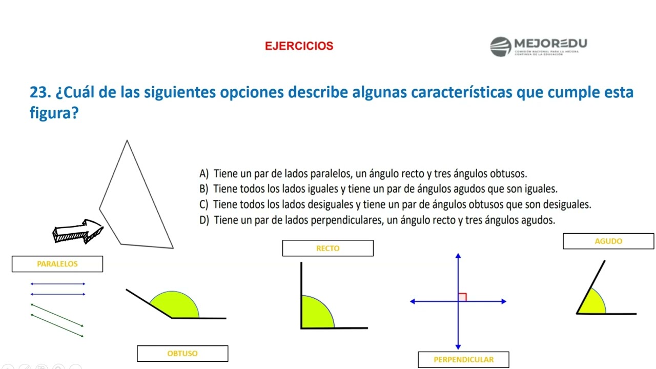 ¿Cuál de las siguientes opciones describe características de la figura ?🟥Examen JALISCO AVANZA 2025