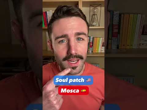 Vocabulario del vello facial en inglés! #aprendeingles #vocabularioeningles #beard #inglesrapido