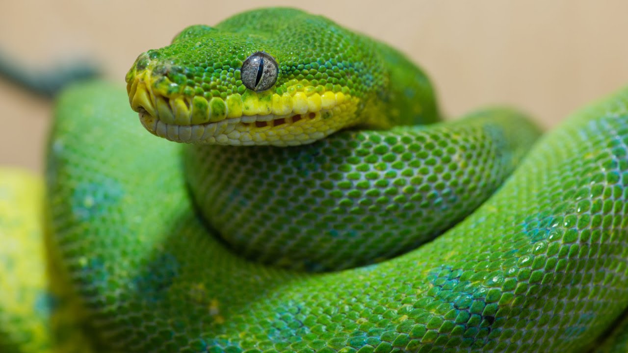 cs201 Recursion and Classes