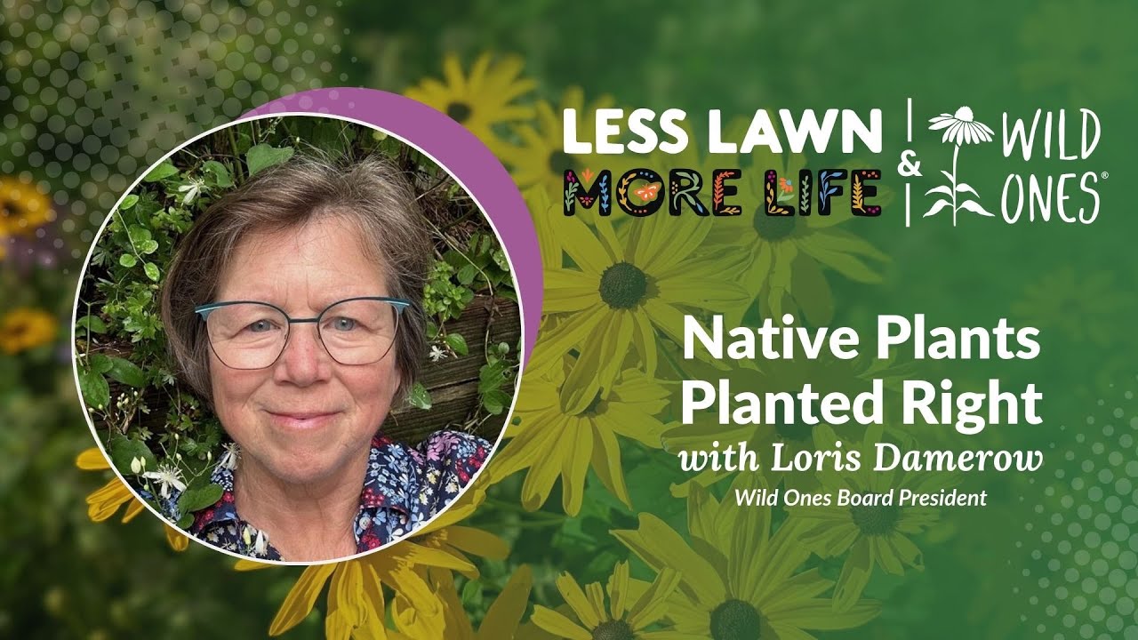 Native Plants Planted Right