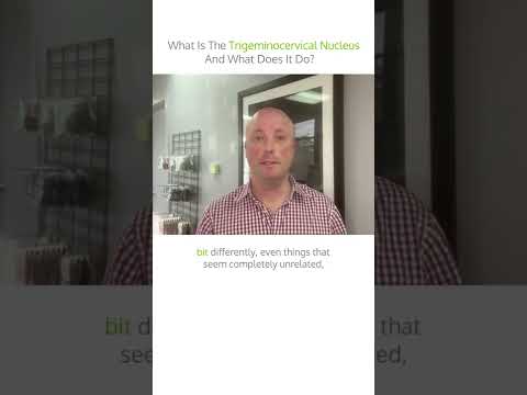 What Is The Trigeminocervical Nucleus And What Does It Do? π₯ - Adelaide Headache Physio