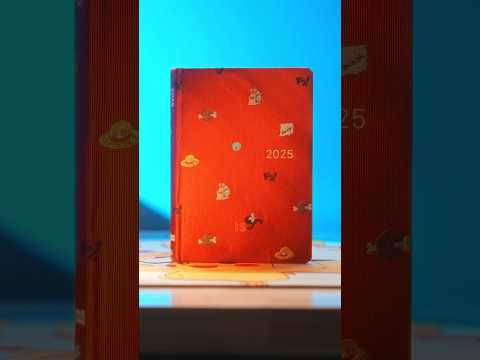 After spending $130 in Japan, I got my One Piece Hobonichi. I LOVE it! #anime #hobonichi #onepiece