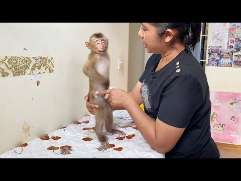 Mom Point And Telling DAM On His Diaper Going Better
