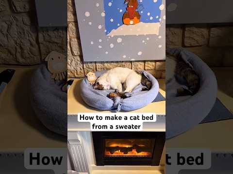 Make a super easy cat bed from an old sweater ๐๐พ Follow for more๐ #cat #diy #pet #catlover #pets