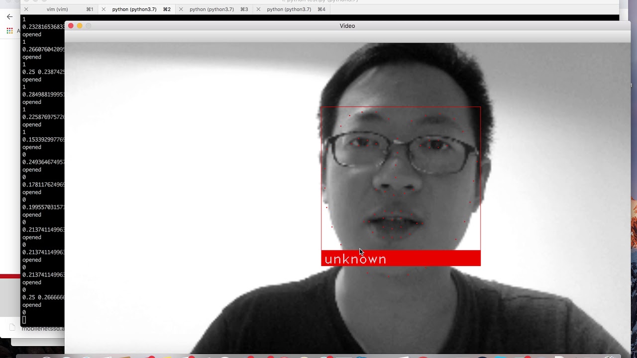 Driver Face Recognition and Drowsiness Detection