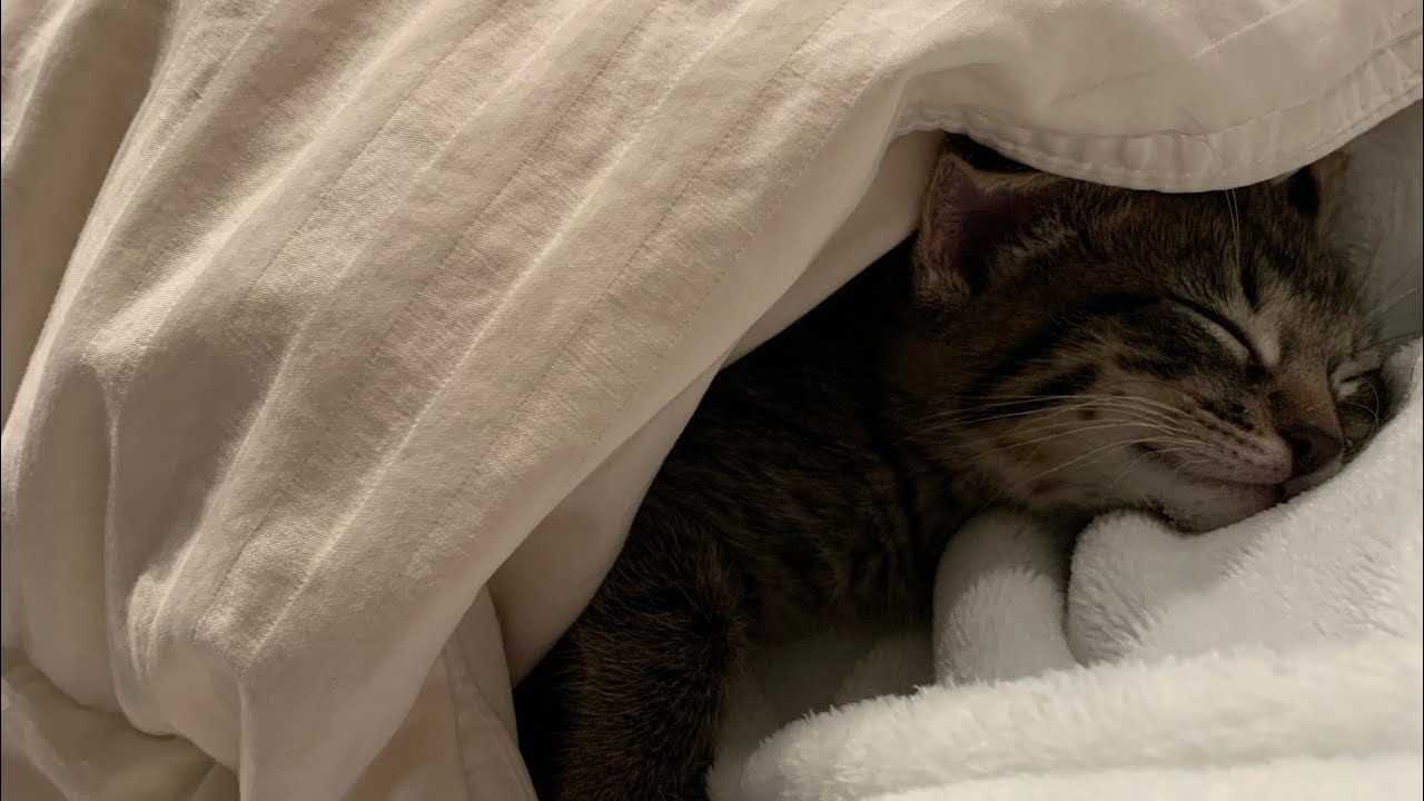 Transforming Your Mindset: Disrupting Unproductive Thoughts for ...