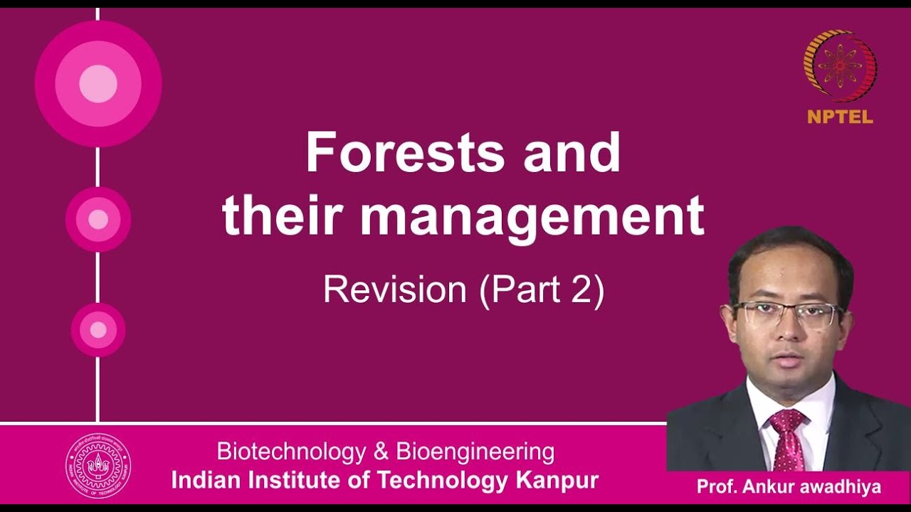 Comprehensive Overview Of Forest Surveying And Management Techniques