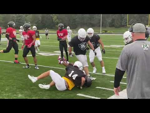 VIDEO: SOT Football Scrimmage, Elyria Pioneers vs Medina Bees | Sports ...