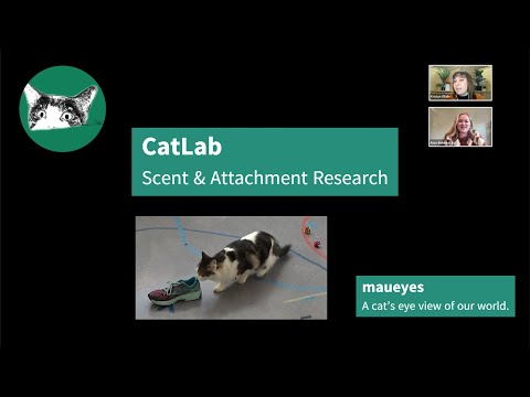 Watch Now! CatLab: Scent & Attachment Research – Maueyes