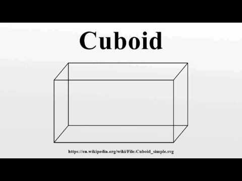 Cuboid