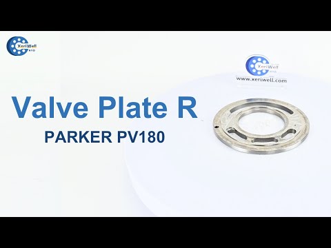 PARKER PV180 Hydraulic Pump Spare Parts Valve Plate R