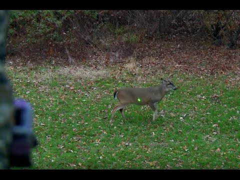 Will Primos, Jimmy Primos, and Brad Farris With Big Bucks In the South ...