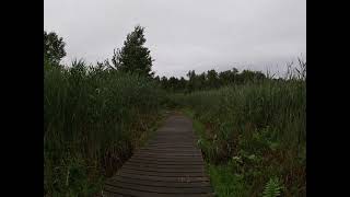 3 Best Hiking Trails in North Bay, ON - Expert Recommendations