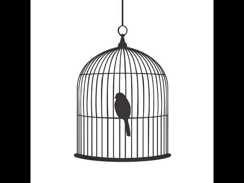 Video Lecture: "Oppression" by Marilyn Frye